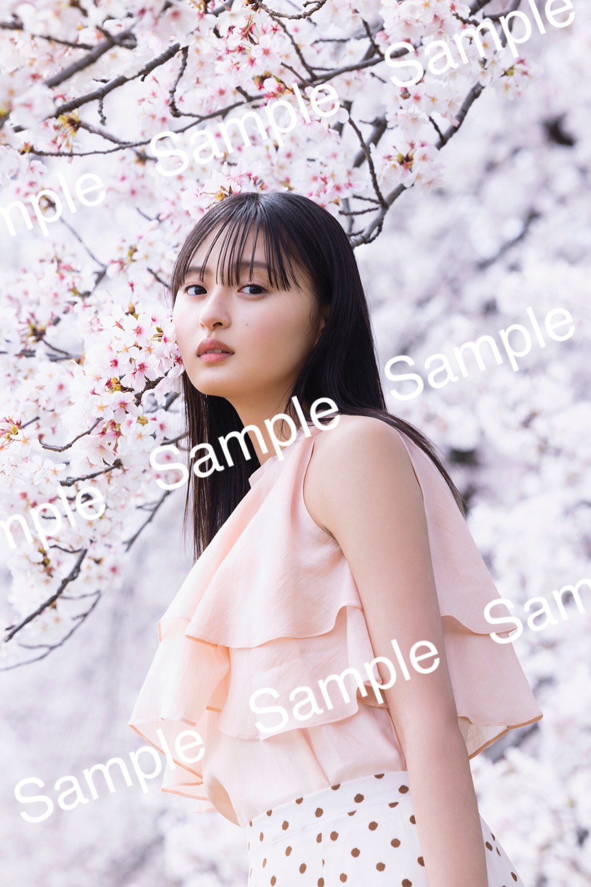 (写真)乃木坂46・遠藤さくら、新たな水着カット公開 ポニーテール姿で大人っぽい表情 エンタメ ニュース |クランクイン!
