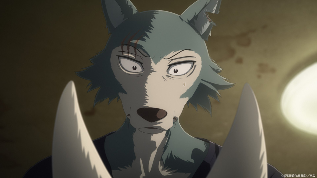 「BEASTARS FINAL SEASON」Part2 ‐Netflix（ネットフリックス） ‐配信日・見どころ・キャスト ‐アニメ ...